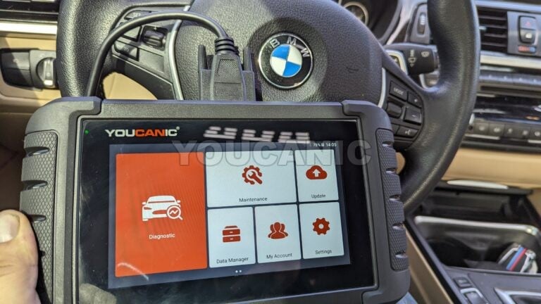 BMW CAS Car Access System Troubleshooting