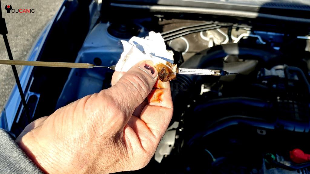 Subaru Check & Add Engine Oil